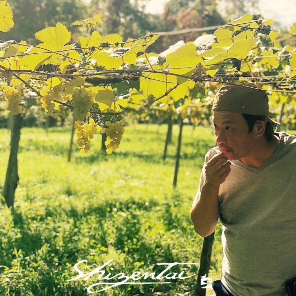 パワースポットで自然と戯れカラダを整える旅 in 富士山麓 | シゼンタイ